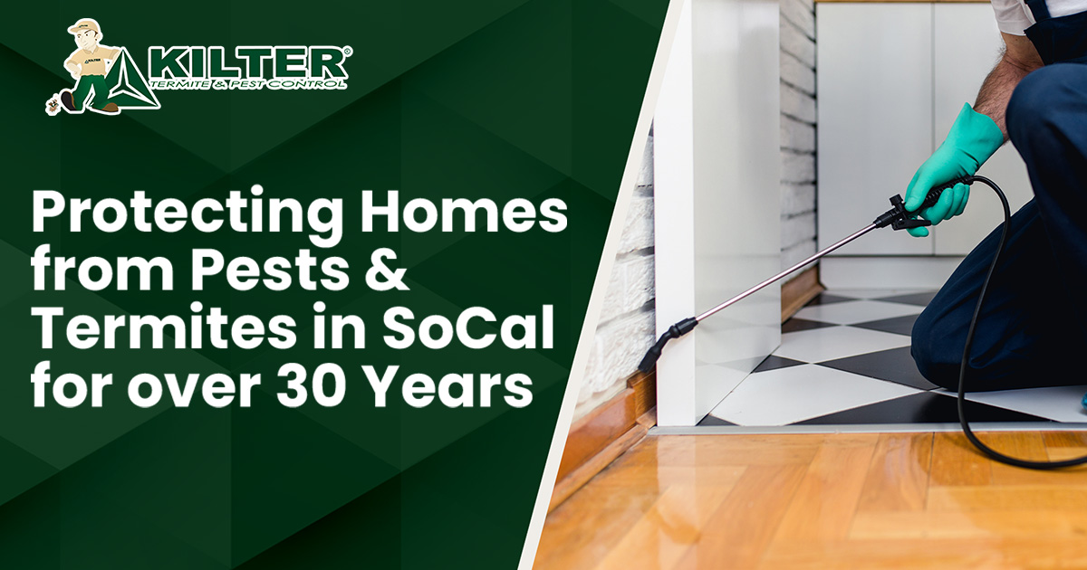 Licensed Pest Control in Southern California | Free Estimate