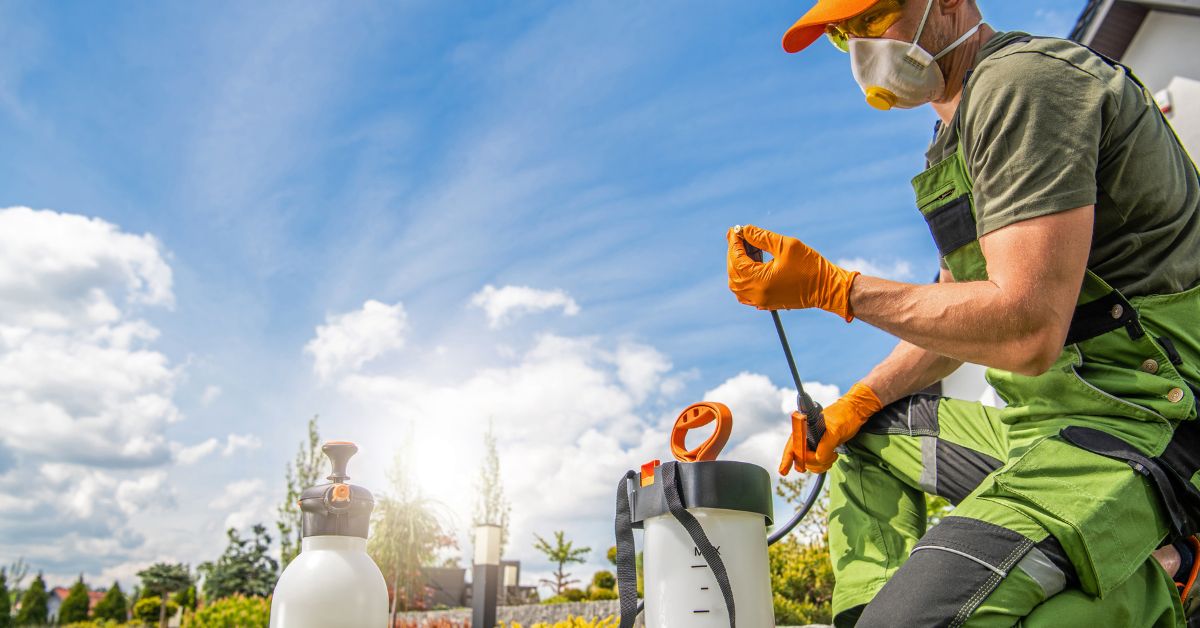 Natural Pest Control Methods: An Eco-Friendly Guide